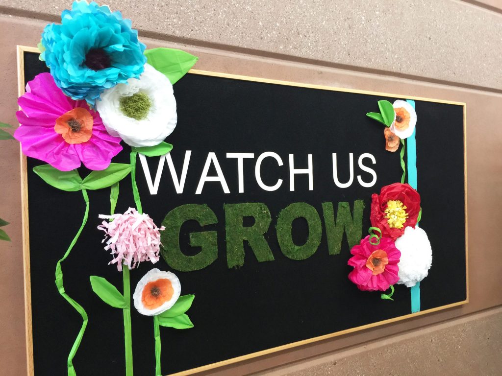School Bulletin Board Watch Us Grow 